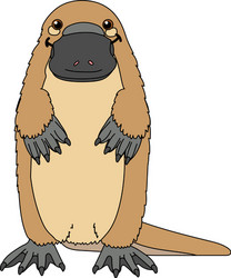 Monotremes Vector Images (72)