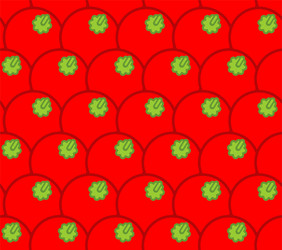 Tomato Cut Texture Vector Images (over 250)