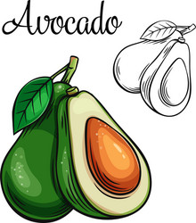 Avocado Outline Vector Images (over 5,500)