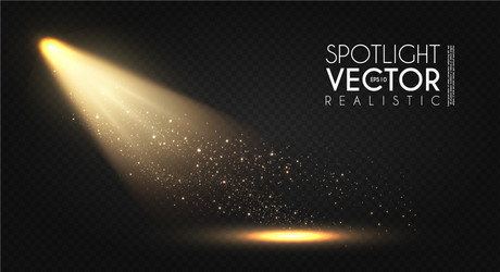 Spotlight isolated on transparent background Vector Image