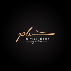 Pb simple signature logo - handwritten template Vector Image