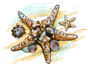 Summer beach with sea shell and starfish frame Vector Image