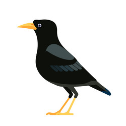 Blackbird Vector Images (over 1,100)