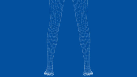 Anatomy Blueprint Vector Images (over 260)