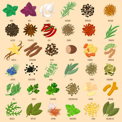Herbs and Spices Vector Images (over 26,000)