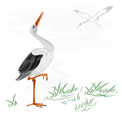 Storks Vector Images (over 9,400)