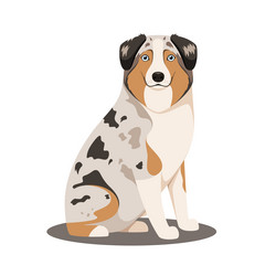 Australian Shepherds Vector Images (over 390)