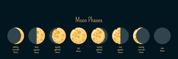 Moon phases Royalty Free Vector Image - VectorStock