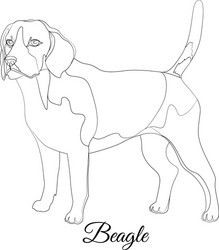 Beagle Outline Vector Images (über 1,300)