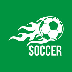 Fan anger emotions football soccer ball funny Vector Image