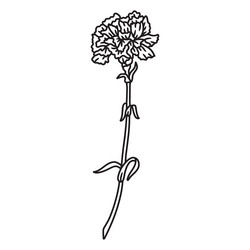 Carnation Doodle Vector Images (over 280)