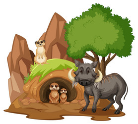 Burrow Vector Images (over 1,700)