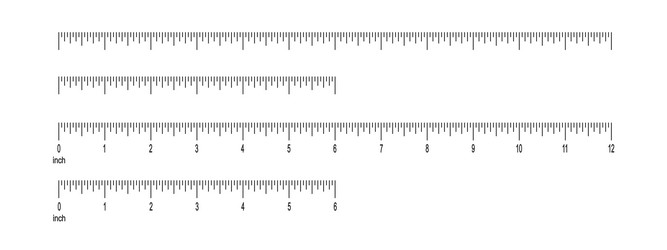 Parts of ruler scale inch divided into fractions Vector Image