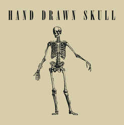 Skull Front Facing Vector Images (over 1,500)