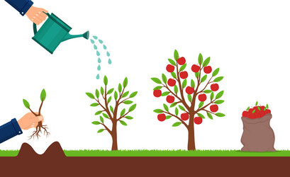 Apple Tree Stages Vector Images (over 110)