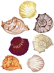 Seashells Vector Images (over 34,000)