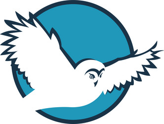 Flying owls Royalty Free Vector Image - VectorStock