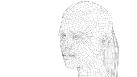 Wireframe portrait a young beautiful girl Vector Image