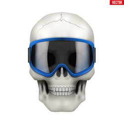 Skull Goggles Face Vector Images (95)