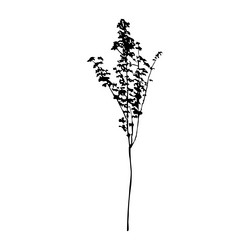 Black small tree Royalty Free Vector Image - VectorStock