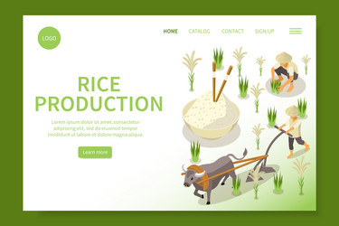 Rice production icon set Royalty Free Vector Image
