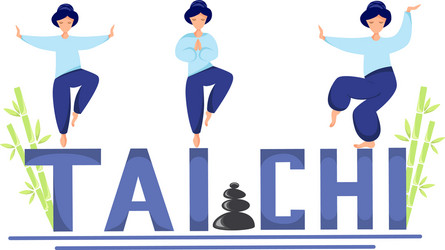 Tai chi and qigong isometric set Royalty Free Vector Image