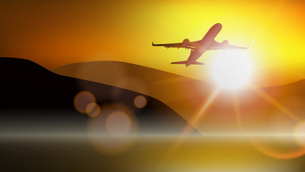 Jet aeroplane on runway aircraft takeoff from Vector Image