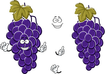 Grapevine Cartoon Vector Images (over 1,100)