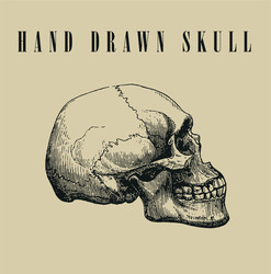 Skull Front Facing Vector Images (over 1,500)