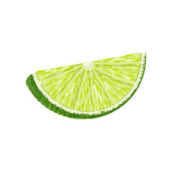Lime Wedge Vector Images (over 570)