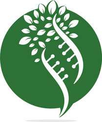 Dna Tree Strand Vector Images (95)