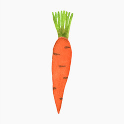 Carrot root vegetable cartoon Royalty Free Vector Image