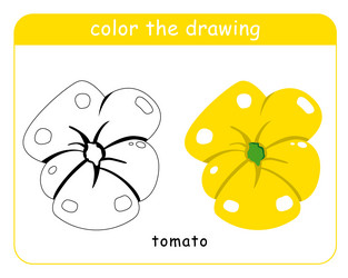 Coloring book for children tomatoes in color Vector Image