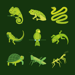 Green Animals Vector Images (over 180,000)