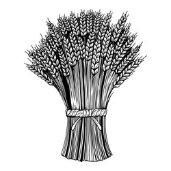 Corn Sheaf Vector Images (over 680)