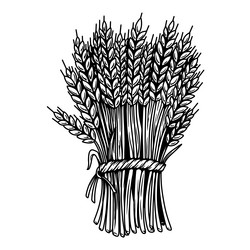 Wheat sheaf in engraving style design element Vector Image