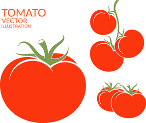 Tomato Vector Images (over 120,000)