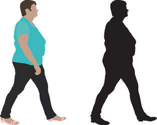 Women with different types of belly side view Vector Image