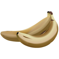 Realistic Banana Branch Royalty Free Vector Image