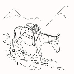 Pack Mule Drawing