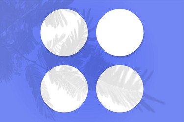 Tui Vector Images (over 120)