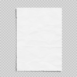 Torn a half sheet white paper from bottom Vector Image