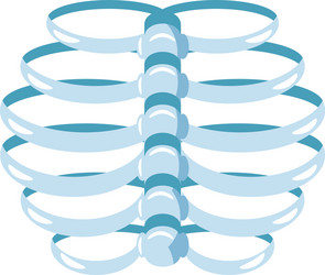 Sternum Vector Images (over 540)