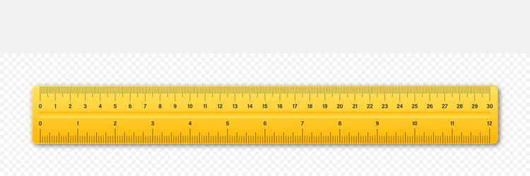 Realistic plastic ruler with measurement scale Vector Image