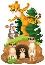 Rabbit Burrow Vector Images (over 200)