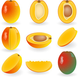 Mango Vector Images (over 22,000)