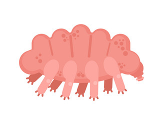 Invertebrate Vector Images (over 15,000)