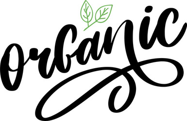 Yum hand written lettering word Royalty Free Vector Image