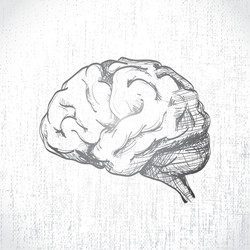 Brain Vector Images (over 230,000)