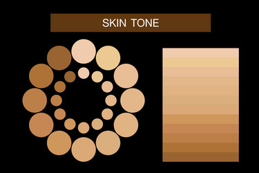 Skin tone infographic color table chart beauty Vector Image